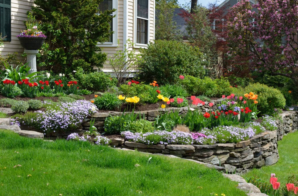 Landscaping in Los Altos: Mistakes to Avoid | Dream Reality Landscaping in Los Altos: Mistakes to Avoid | Dream Reality